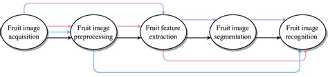 Different Processes Of Fruit Detection And Recognition Based On DL Download Scientific Diagram