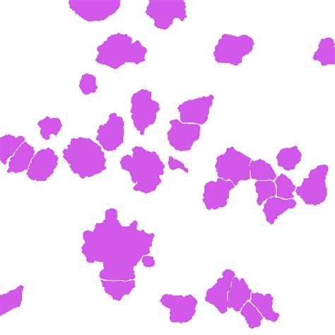 Annotated Quantitative Phase Microscopy Cell Dataset Ninja