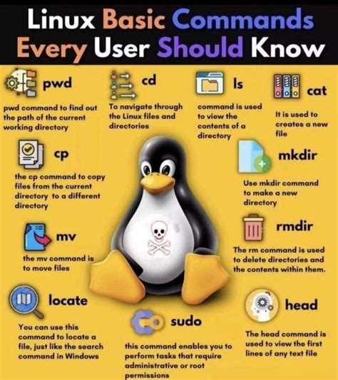Dr Maria Sette On Linkedin Common Linux Commands
