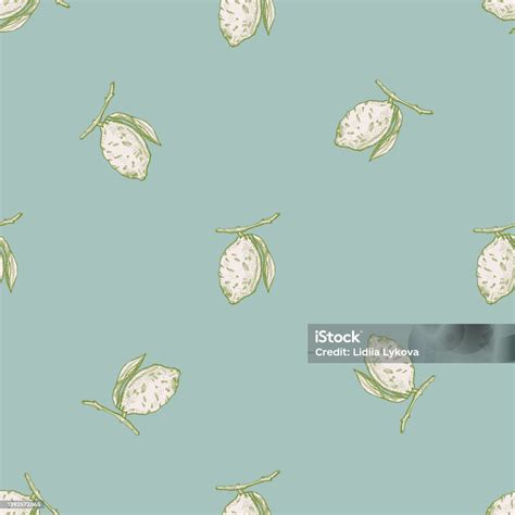 나뭇잎이 새겨진 가지에 이음새가 없는 무늬 레몬 손으로 그린 스타일의 감귤류의 빈티지 배경 0명에 대한 스톡 벡터 아트 및 기타 이미지 Istock