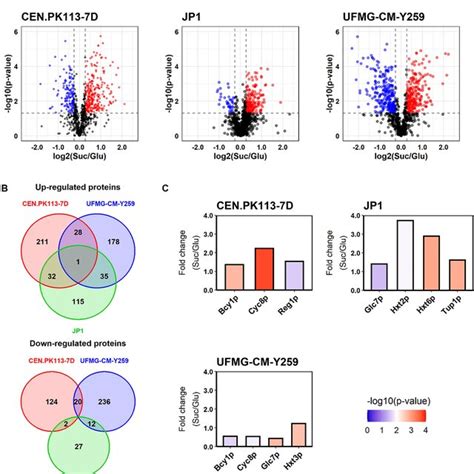 Comparative Protein Abundance Between Sucrose And Glucose Growth Download Scientific Diagram