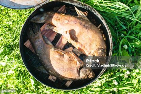 가정 사용을 위해 프로세스를 흡연 하는 물고기 훈제 물고기입니다 가정 사용을 위해 금연에 금연 과정 물고기를 닫습니다 오픈