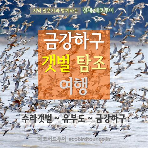 금강하구 갯벌 여행 유부도 포함 1박2일