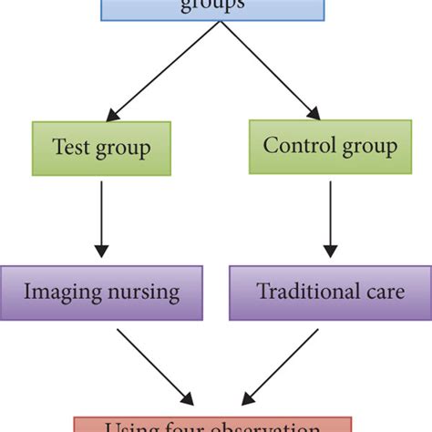 The Specific Structure Of The Control Experiment Download Scientific Diagram