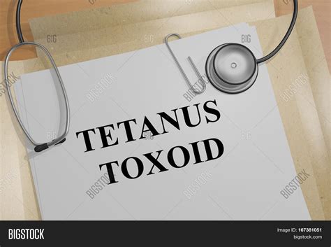 Tetanus Toxoid Image And Photo Free Trial Bigstock