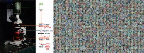 Mueller Matrix Microscope And The First Elements M11 Of Mueller Download Scientific Diagram