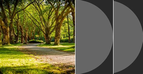 List Data Format Curated By Adam Szpilewicz Medium