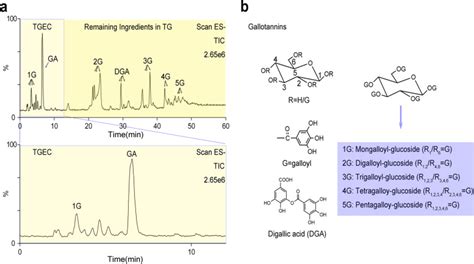 Natural Polyphenol Self Assembled Ph Responsive Nanoparticles Loaded