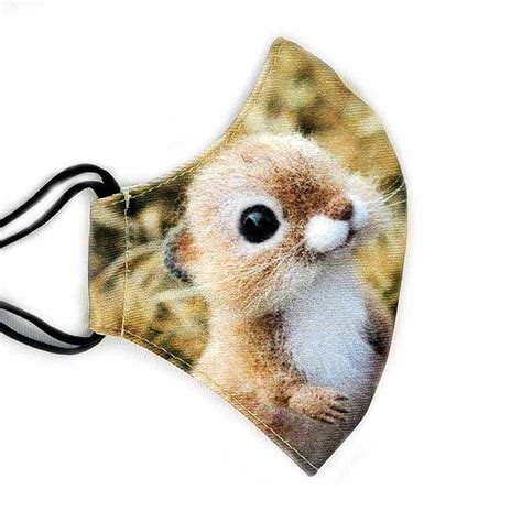 Cute Chippy Novomasks