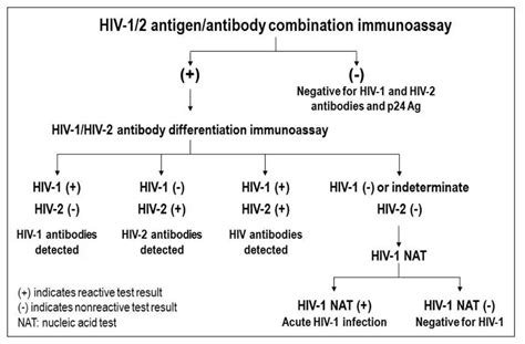 Hiv Th Generation Test Cdc At Kai Chuter Blog
