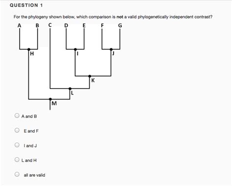 Solved Question 1 For The Phylogeny Shown Below Which