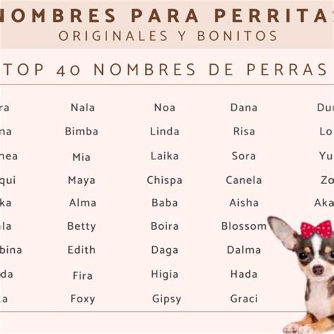 Nombres Para Perras Significado Mascotas Ex Ticas