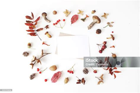 가 식물 배치 스타일 빈 카드 이랑 장면입니다 버섯 소나무 콘 Beechnuts 화려한 말린된 잎 및 마가 목 열매의 구성 화이트 테이블 배경입니다 가 프레임 평면 배치