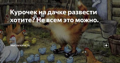 Курочек на дачке развести хотите Не всем это можно Мысли юриста Дзен