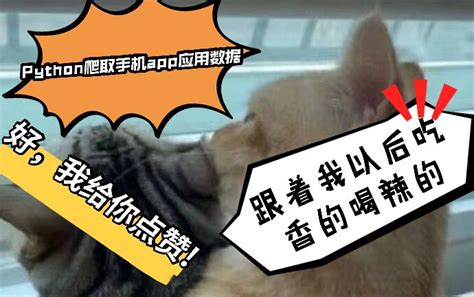 python爬虫必备技能 抓取手机app数据完整课程 哔哩哔哩 bilibili