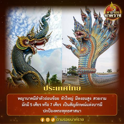 ตามรอยนาคราช ตามรอยนาคราช Added A New Photo