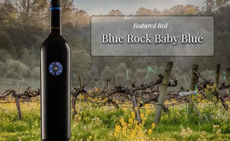 Wine Tasting Kits Wed Nov 30 2022