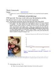 Week 6 Homework Pdf Week 6 Homework Name Attached Below 1 Do Question 4 A B And C In The