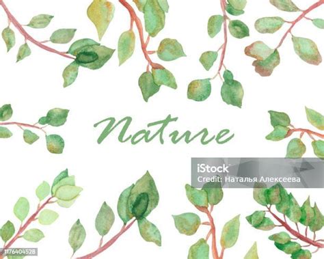 수채화 손 그린 자연 테두리 프레임 구성 녹색 유칼립투스 잎과 나뭇 가지와 녹색 색상 텍스트 에코 엽서 초대장 및 흰색에 인사말 카드 중간에 0명에 대한 스톡 벡터 아트 및