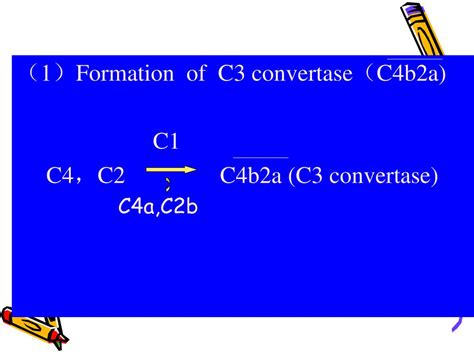 PPT Chapter Complement PowerPoint Presentation Free Download ID