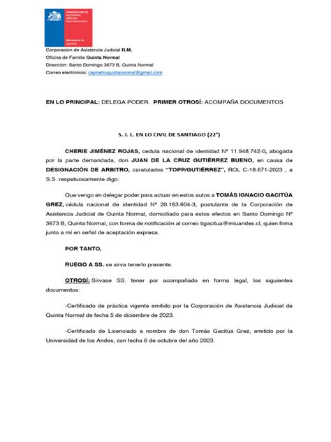 Copia De Delega Poder Sjl Pdf