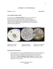 Lab Report 1 Docx 1 Lab Report 1 Use Of The Microscope Name Kyla Sestric Date 9 26 19 Your