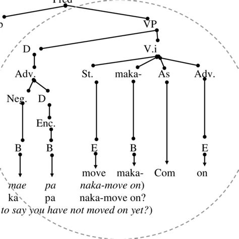 Sample Phrase Structure Tree With Codes At Adjective Phrase Download Scientific Diagram