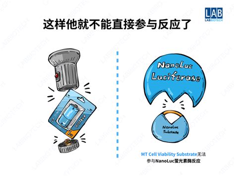 细胞活力实时监控的利器来啦 天津市莱博科技有限公司