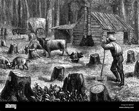 états Unis Des Années 1860 Plantation Banque De Photographies Et D