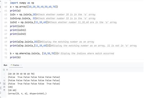 how to check the existence of an item in an array niloofar nazmi