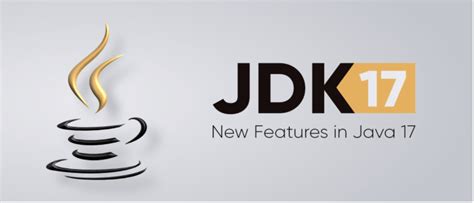 Optimizing Mulesoft Applications For Java 17 Performance And