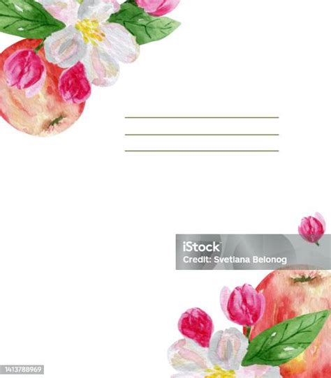 섬세한 사과 꽃과 육즙이 많은 과일이 들어간 식물 엽서 사과와 꽃 엽서 포스터 및 봄 배너를위한 수채화 사과나무에 대한 스톡 벡터 아트 및 기타 이미지 Istock