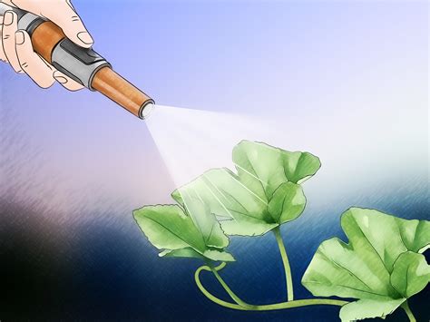 Ways To Adjust Soil PH WikiHow