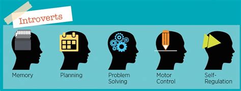 Top 3 Misconceptions About Introverts Health Datahand