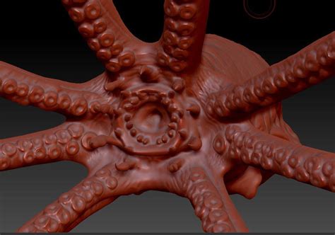 Kraken Model Status Rtlopo