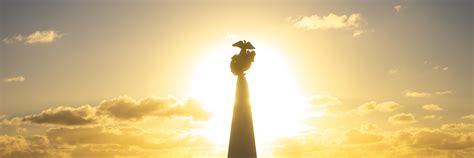 Mccs How To Pull Your Joint Services Transcript Jst