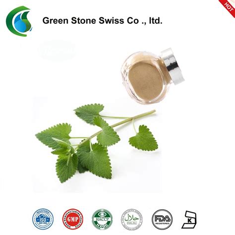 Catnip Extract Manufacturersuppliersale