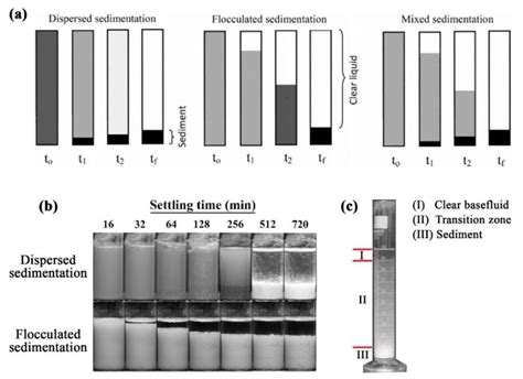 A Demonstration Of The Two Sedimentation Regions In Terms Of Settling Download Scientific