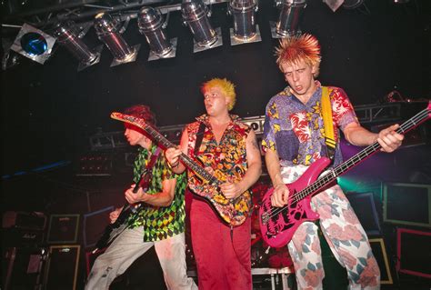 Bandgeschichte Die Toten Hosen