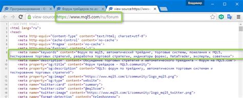 Programming Vps For Forex General Mql5 Programming Forum