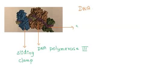 SOLVED Model Building Can Be An Important Part Of The Scientific