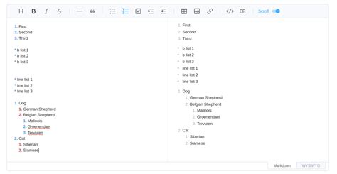 When Switch Between Markdown And Wysiwyg Gives Me A Different Look