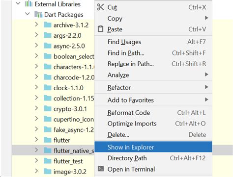 could not find bin create dart in package flutter native splash · issue 194 · jonbhanson