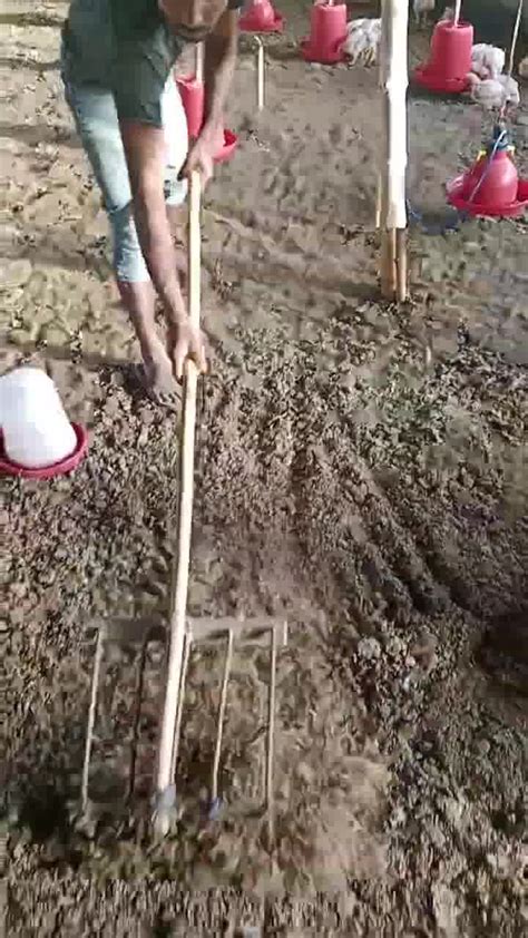 Poultry Litter Tracking Object Detection Dataset By Myproject