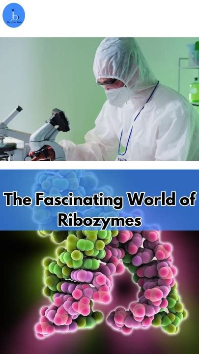 Molelixir Informatics On Linkedin Biotechnology Ribozymes Biology