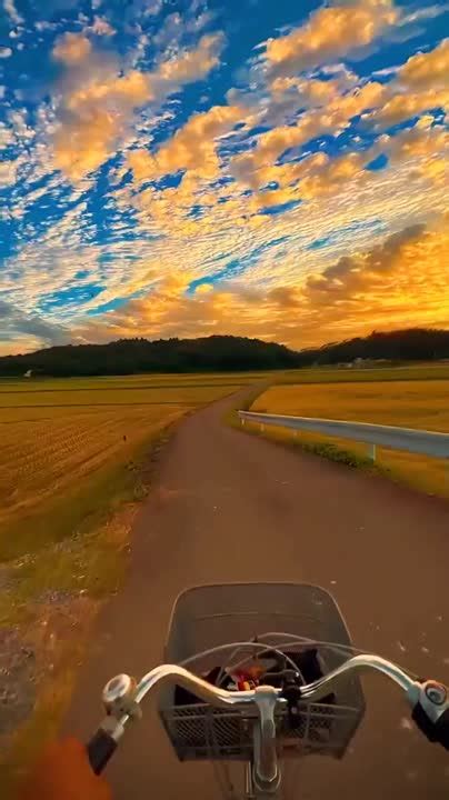 Video Shruti Tripathi On Linkedin Freelearning Onlinecourses