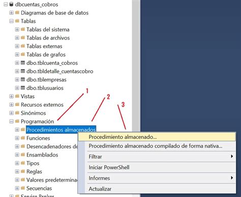 Software De Cuenta Cobro Vb6 2 Procedimientos Almacenados Sql Server