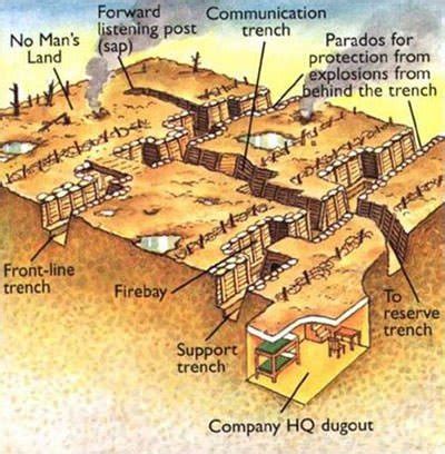 10 Facts About Trench Warfare In World War I Learnodo Newtonic