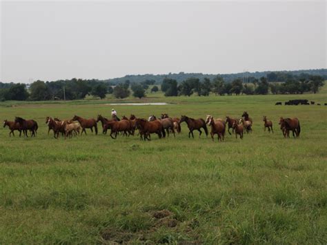 A Bar Ranch Discover Rogers County
