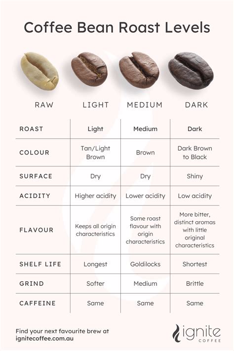Difference Between Light Medium And Dark Roast Coffee Beans Arte